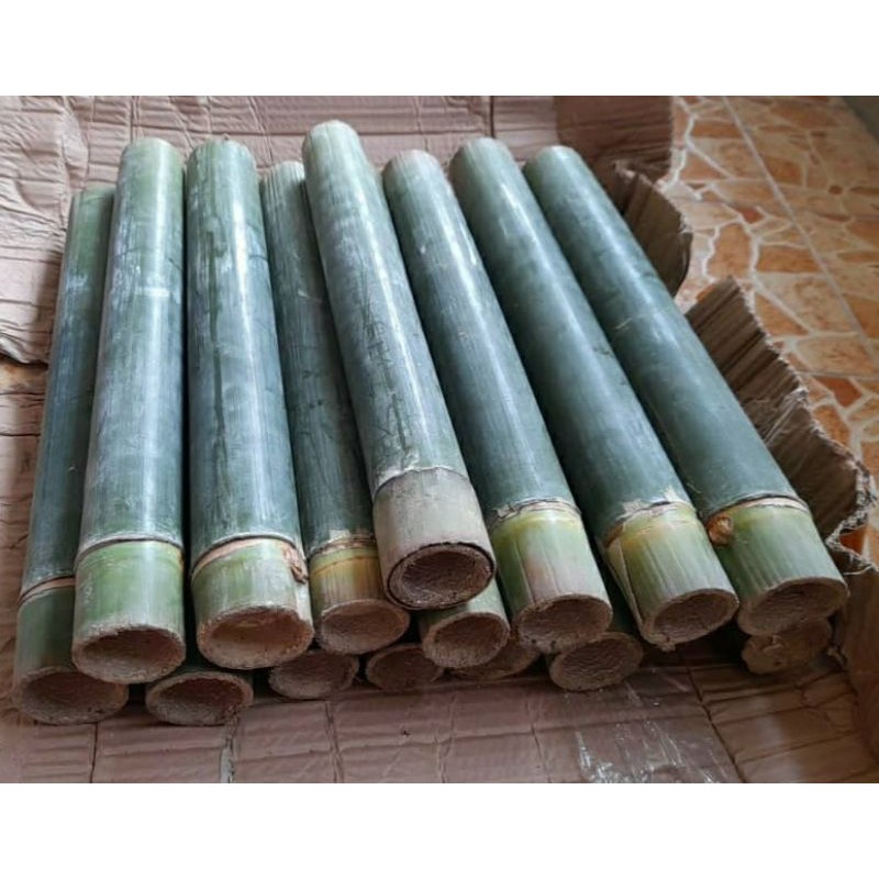 buluh lemang segar dari hutan 20 batang satu set. | Shopee Malaysia