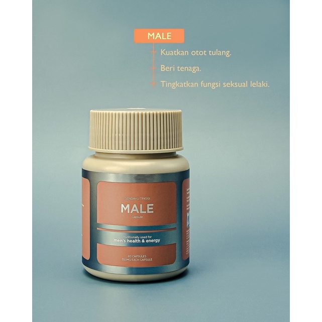 LADY ARROW / D'FOLIA CAPSULE D’folia Women’s Inner Capsule/ MALE ...