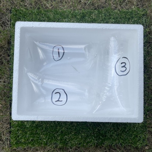 FB801 Polystyrene Foam Box / Polyfoam Box / Fish Box / Ice Box ...