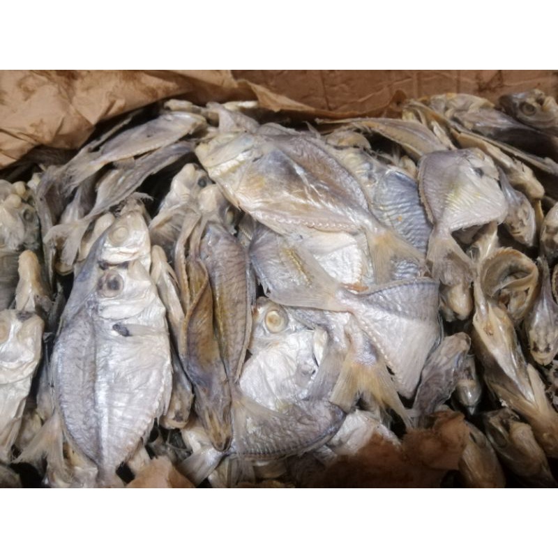 IKAN DODOK MASIN / IKAN KOPEK MASIN 500GR / IKAN MASIN INDONESIA ...