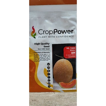 Melon Kirin ML 1688 F1 Hybrid 500 Seeds | Shopee Malaysia