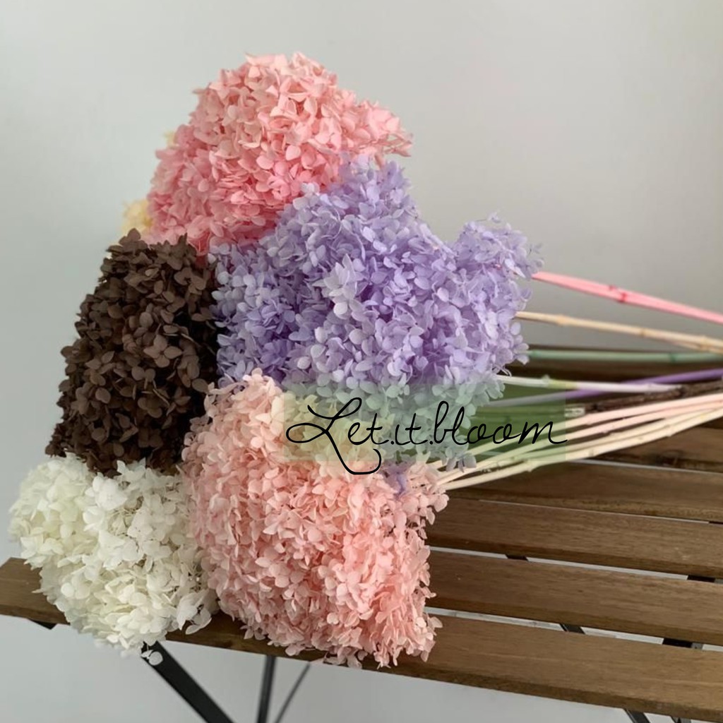 Preservative Hydrangea with Stem/ Preservative Flowers/ Hydrangea ...