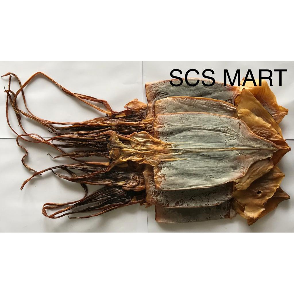 Sotong Kering Besar 200g/300g/500g 鱿鱼干 Dried Squid | Shopee Malaysia