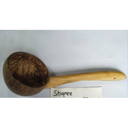 Unique Coconut Shell Dipper Shower Dipper Broken Coconut Shell | Shopee ...