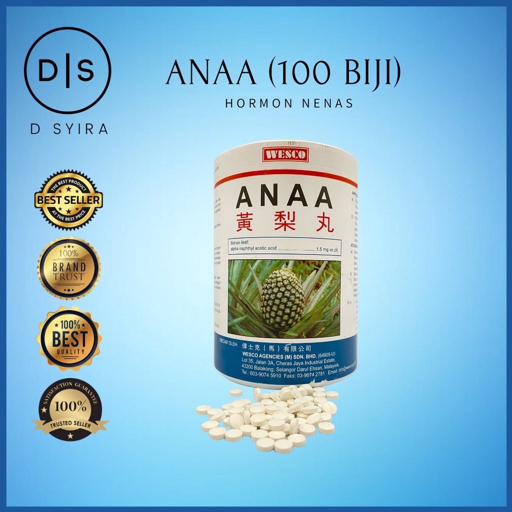 100 Biji ANAA Alpha Naphthyl Acetic Acid Hormon Pemaksa Nenas Berbunga ...