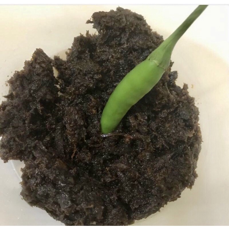 Ready Stock !! Sambal Hitam Original Pahang | Shopee Malaysia Ready Stock !! Sambal Hitam Original Pahang | Shopee Malaysia