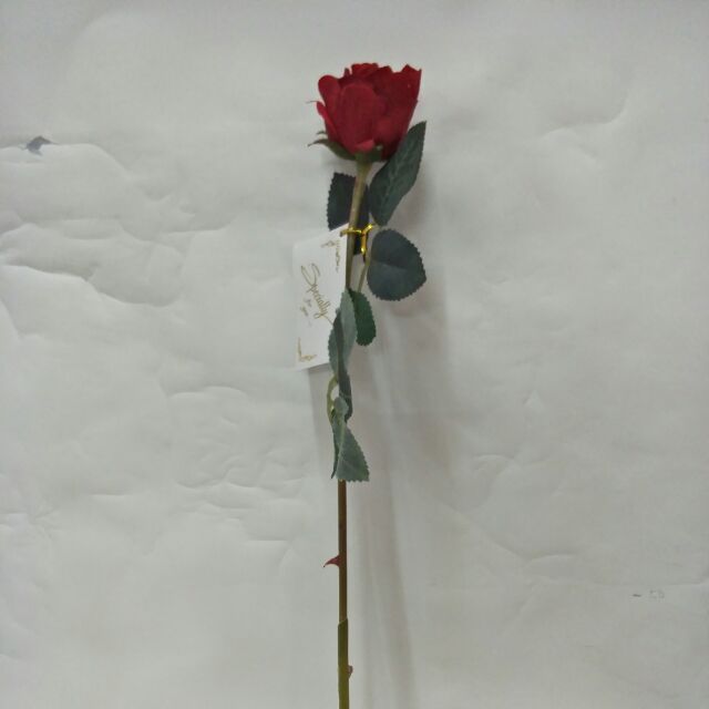 Single stalk rose | Shopee Malaysia