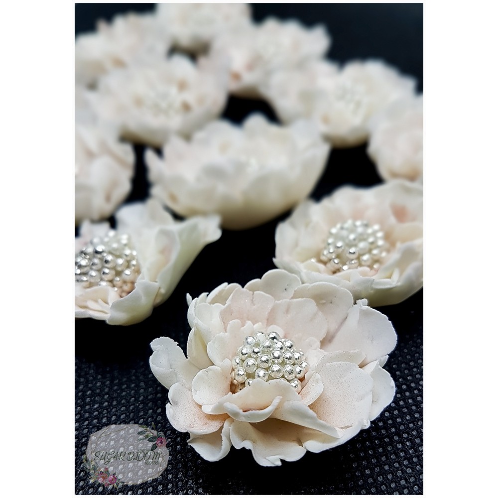 A Gumpaste Flower Whimsical Collection READY STOCK 6 PCS / Bunga Kek ...