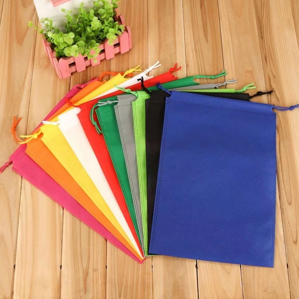 Non-Woven Drawstring Portable Travel Bag 12*15CM | Shopee Malaysia
