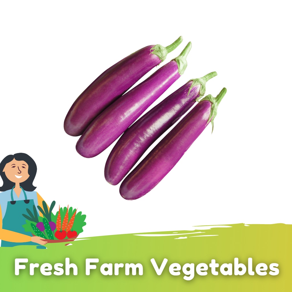 Terung Panjang / Long Eggplant (500g+/-) | Shopee Malaysia