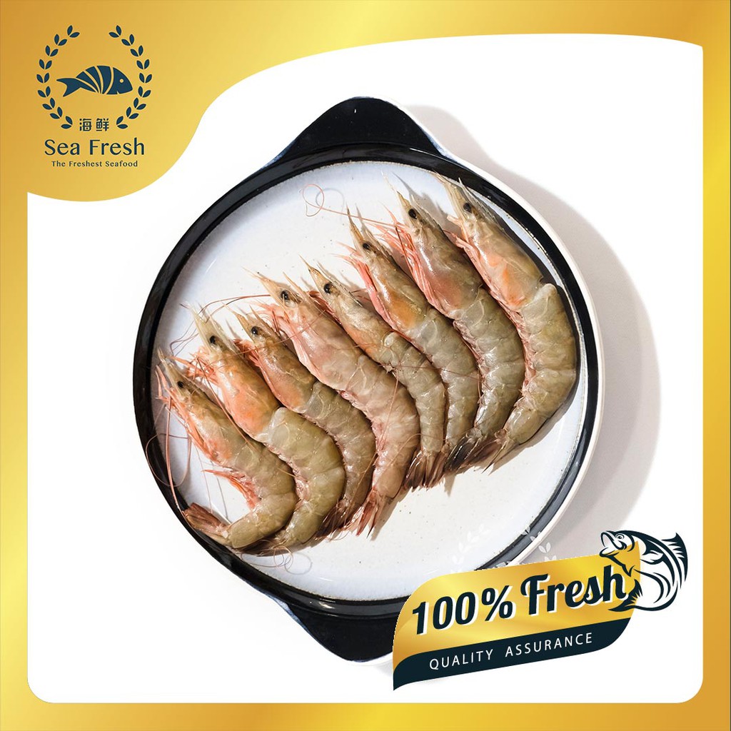 [Sea Fresh] Udang Sualo | Sualo Prawn | Fresh Frozen Seafood | Shopee ...