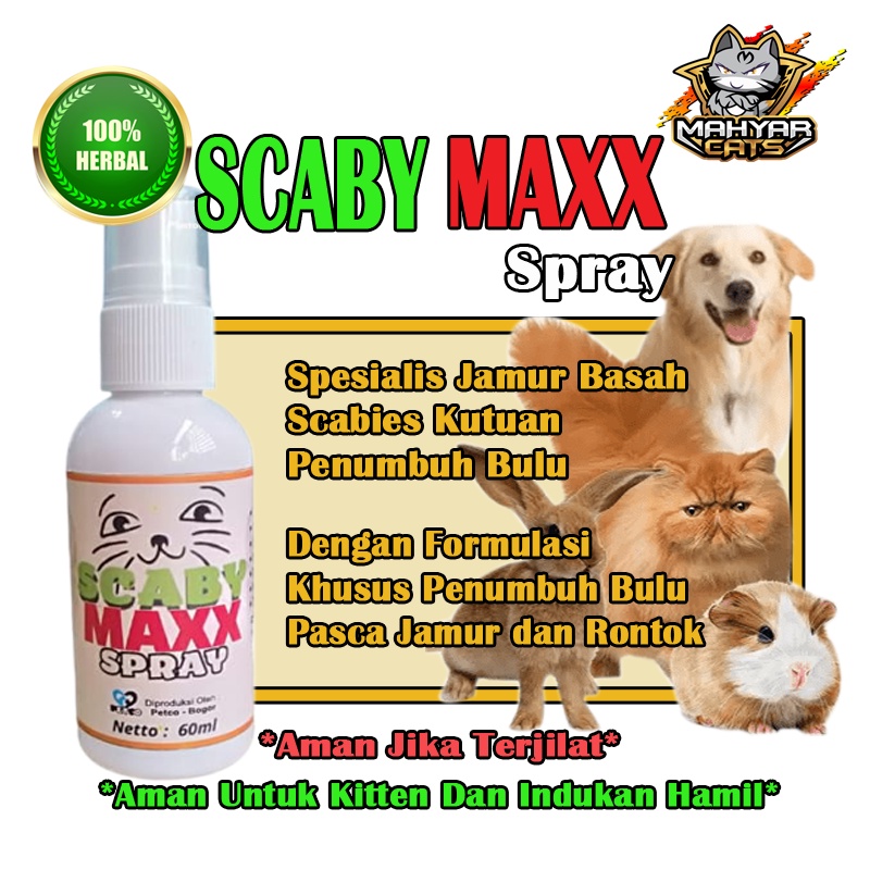 Scaby MAXX Cat Fungus Medicine Skin Medicine scabies Demodex Impetigo ...