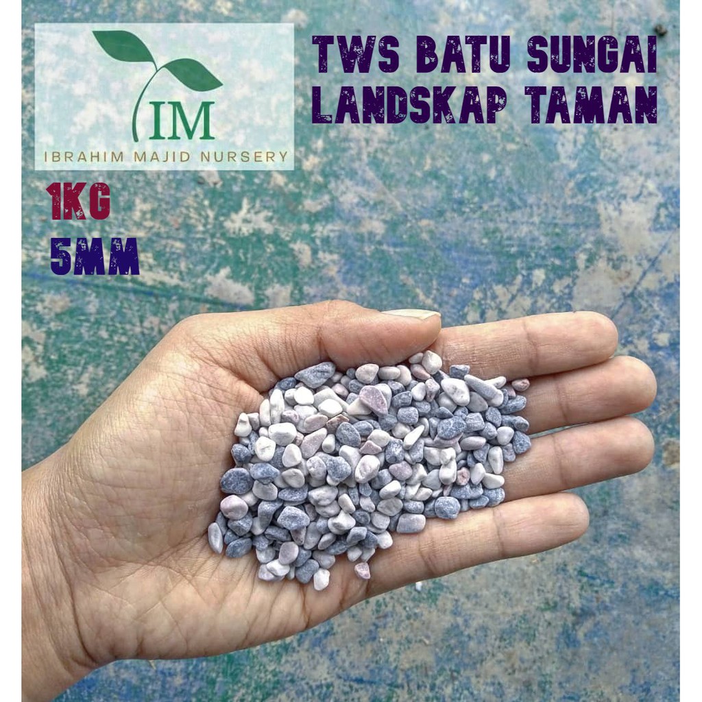 (1Kg) 5mm TWS Pebble Wash Stone Garden Stone Landscape/ Batu Sungai ...