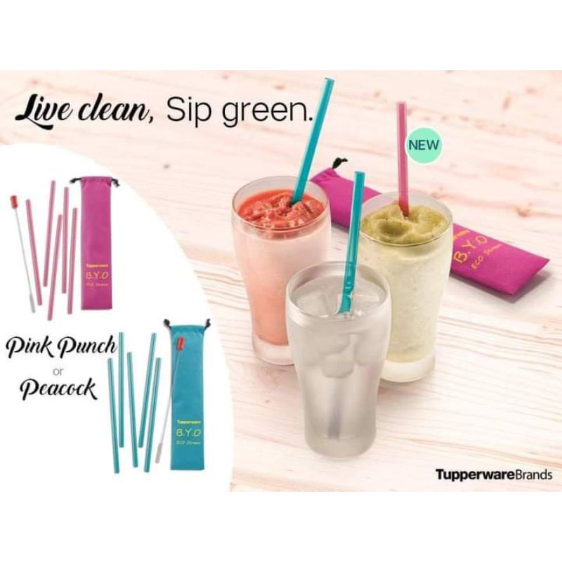 Tupperware -GO ECO Straw and Brush Set | Shopee Malaysia