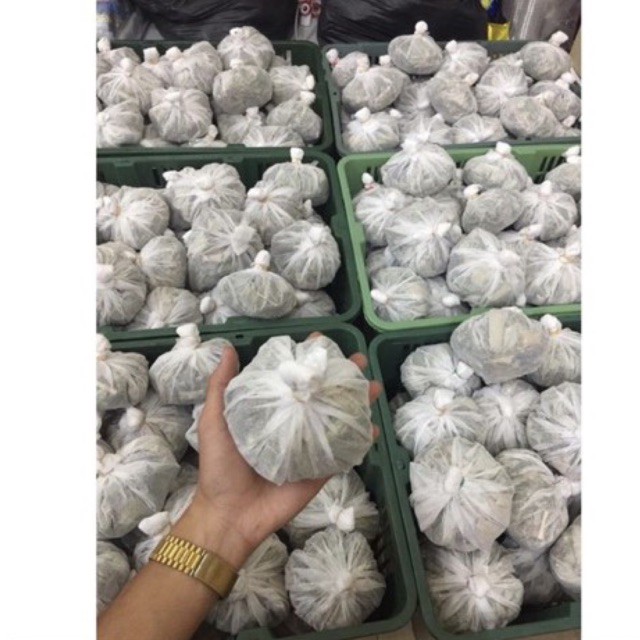 🔥JUALAN HERBA🔥 HERBA MANDIAN IBU BERPANTANG / DAUN SEROM / MANDIAN ...