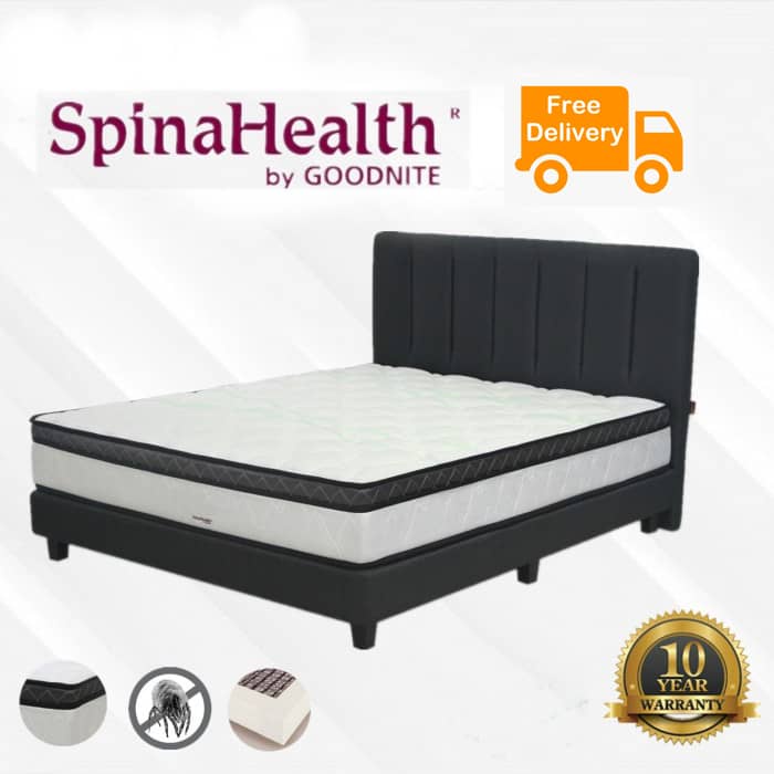[FREE SHIPPING] SpinaHealth by GOODNITE VITANIA 11-Inch Posture Spring ...