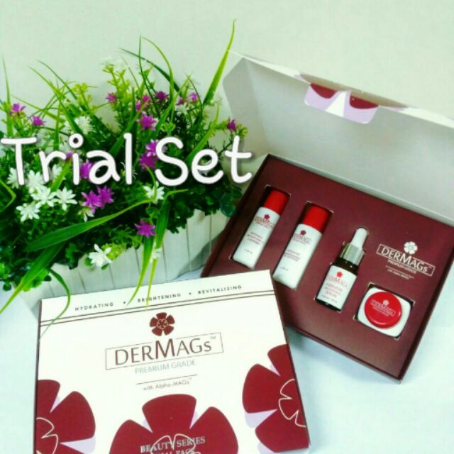 Dermags Skincare Brightening Trial set A ( Normal to Oily Skin ...