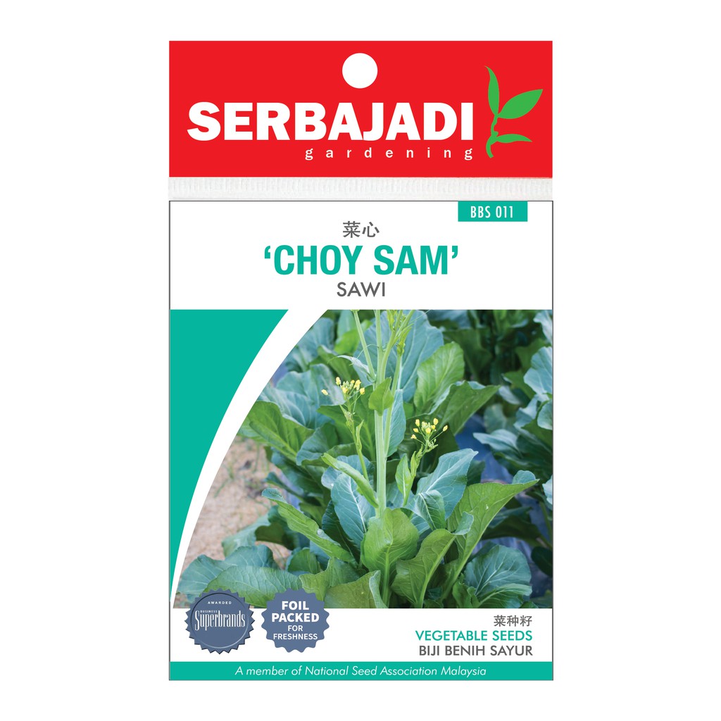 Serbajadi Choy Sam Chinese Flowering Cabbage - Sawi/ Vegetable Seed ...