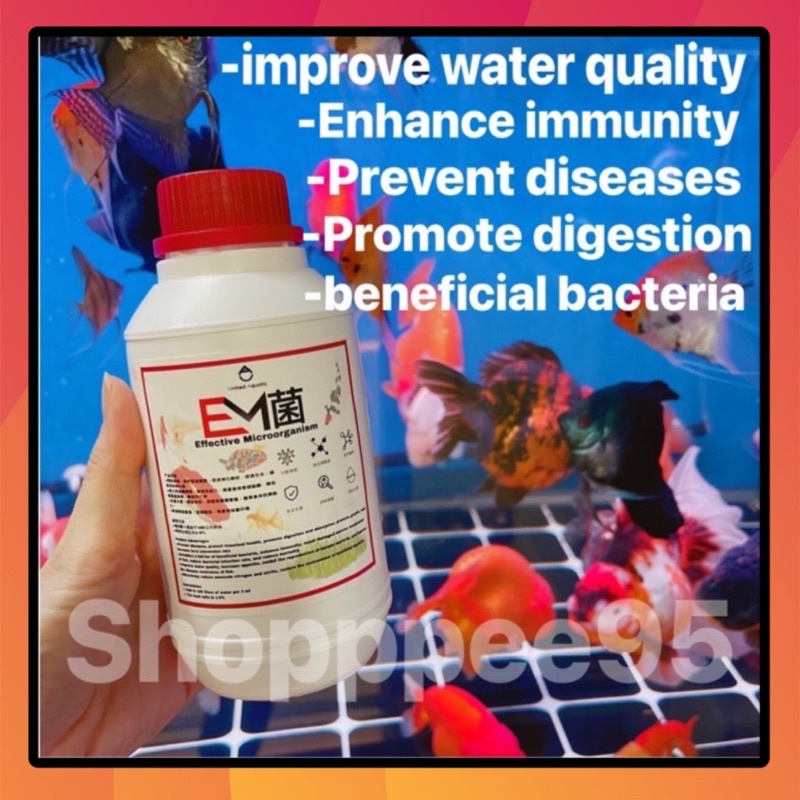 🇲🇾New EM菌 Effective Microorganisms Bacteria 500ML (Japanese EM菌 ...