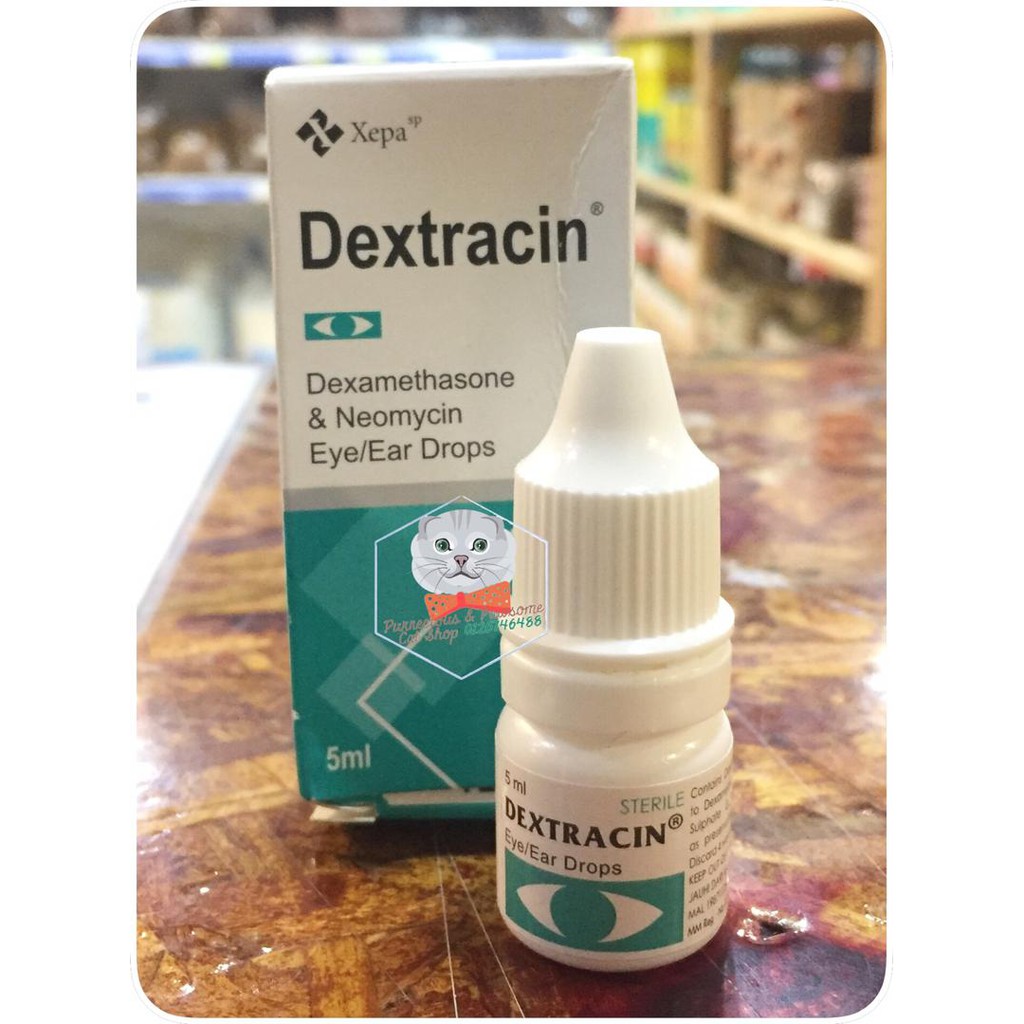 DEXTRACIN EYE/EAR DROP 5ML | Shopee Malaysia