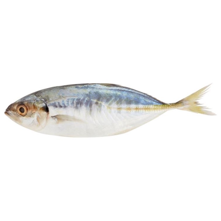 Ikan Selar Segar 1kg ( SIAP SIANG ) | Shopee Malaysia