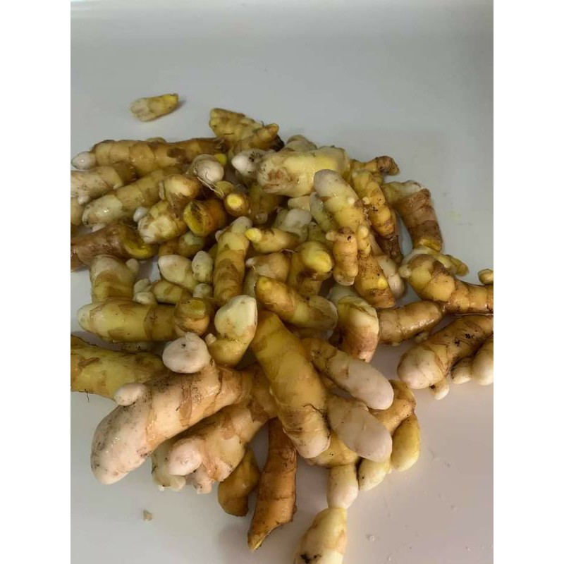 READY STOCK 1KG TEMU PAUH/TEMU MANGGA RIZUM BERTUNAS SAHAJA UNTUK ANAK ...