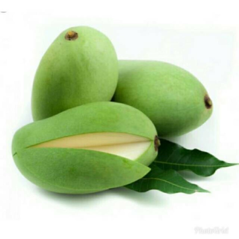 Pauh Ringan/ Mangga Telor / Mangga masam | Shopee Malaysia
