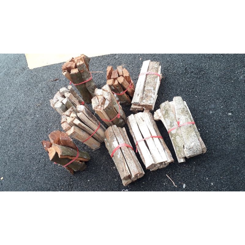 CAMPING KAYU API POKOK HUTAN | Shopee Malaysia