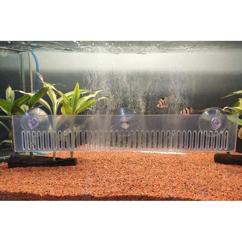 🔥Ready Stock🔥Aquarium 30cmX5cm Weir Comb Marine Sump Fish Tank Overflow ...