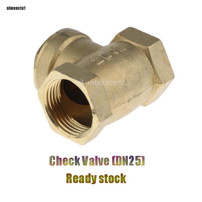 [AlmenclaabMY] DN25 Way Swing Check Female Thread, Brass Material, 1 ...