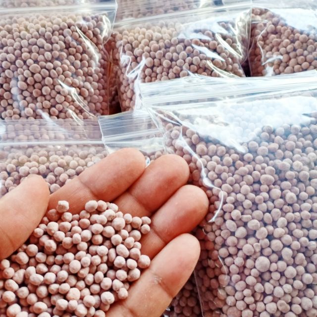 Baja Sebatian untuk Gemuk/Subur 5kg | Shopee Malaysia