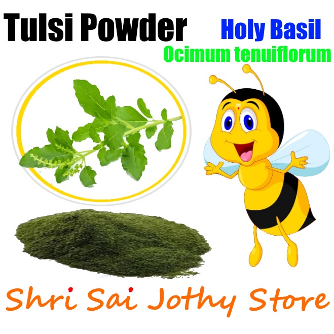 Tulsi Powder | Holy Basil Powder | Ocimum Tenuiflorum Powder - Shri Sai ...