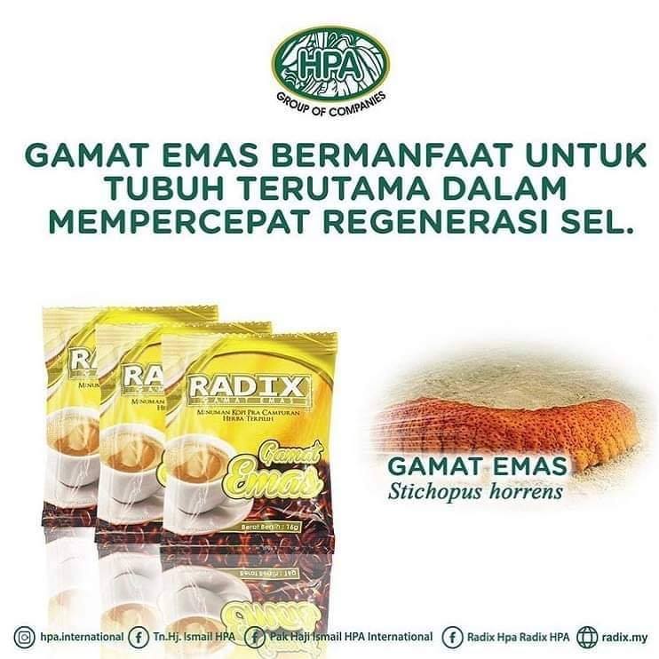 KOPI RADIX GAMAT EMAS HPA INTERNATIONAL (20 sachet x 23g x 1 papan ...