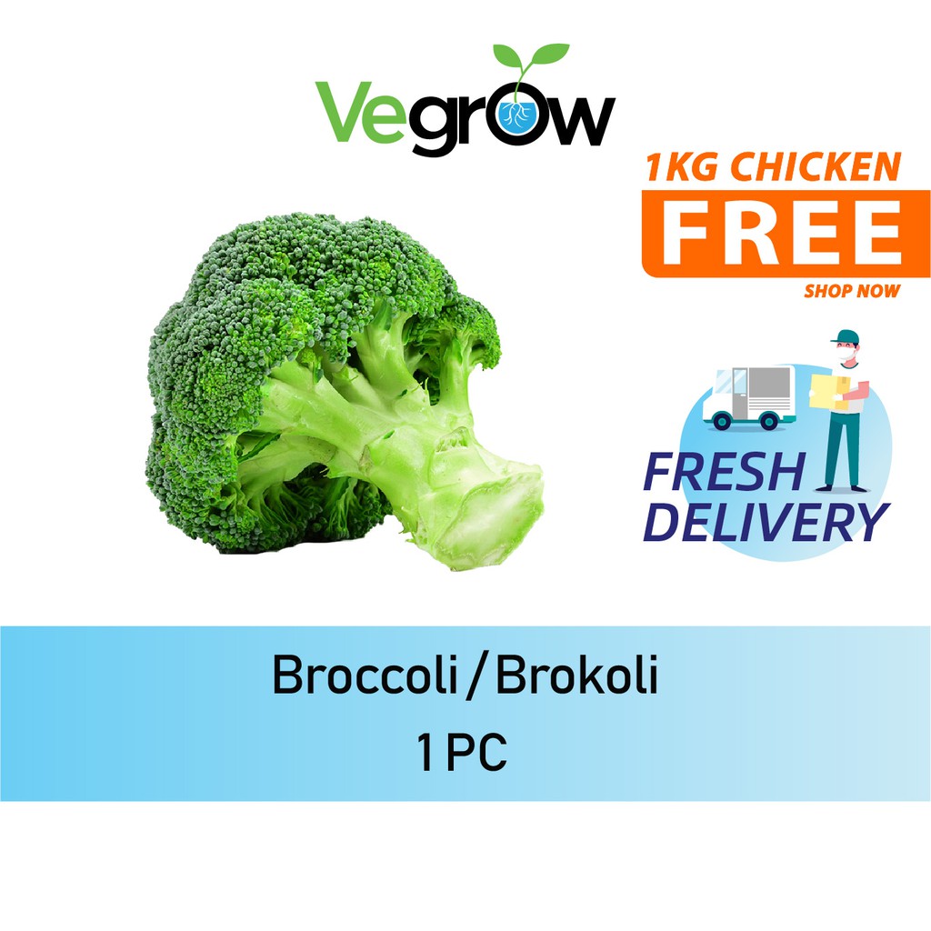 🔥FRESH 🔥Broccoli / Brokoli 1 PC | Shopee Malaysia