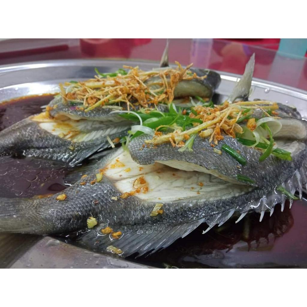 [Quantum Ecofarm] [Wholesale] Jade Perch ± 400-450gm/pcs [Live] 100kg ...