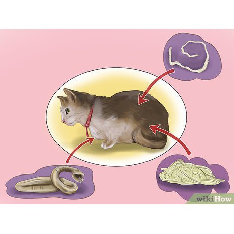 PALING BERKESAN 5 biji ubat ulcer AND multi emergency kit ulser mulut ...