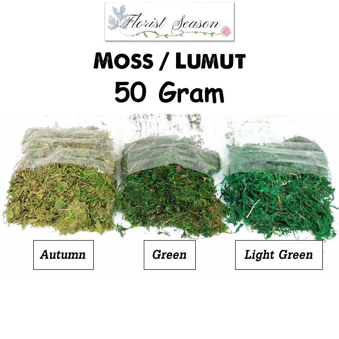 Ready Stock Lumut Orkid (50 Gram) / Flower Moss Lumut Bunga / Bunga ...