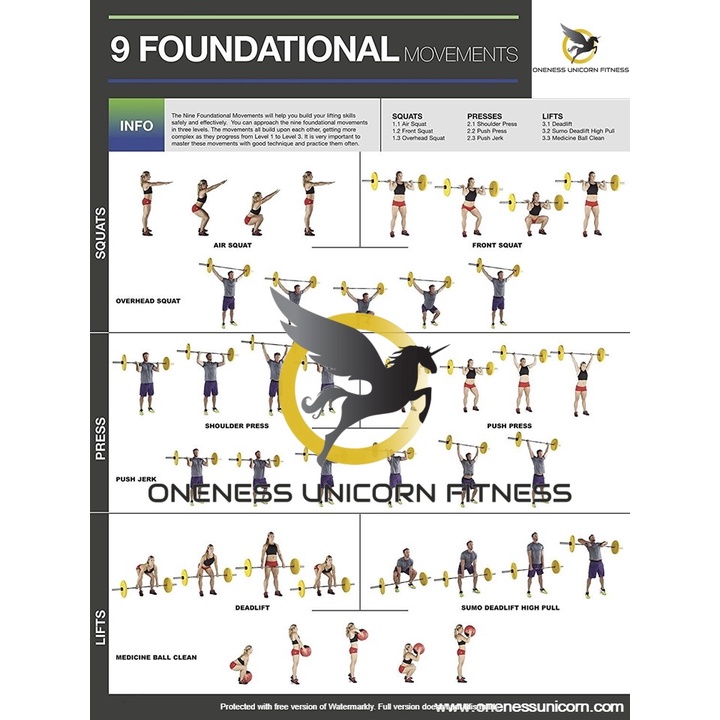 Exercise Workout Chart/ Poster for Dumbbell/ Kettlebell/ Gym Ball ...