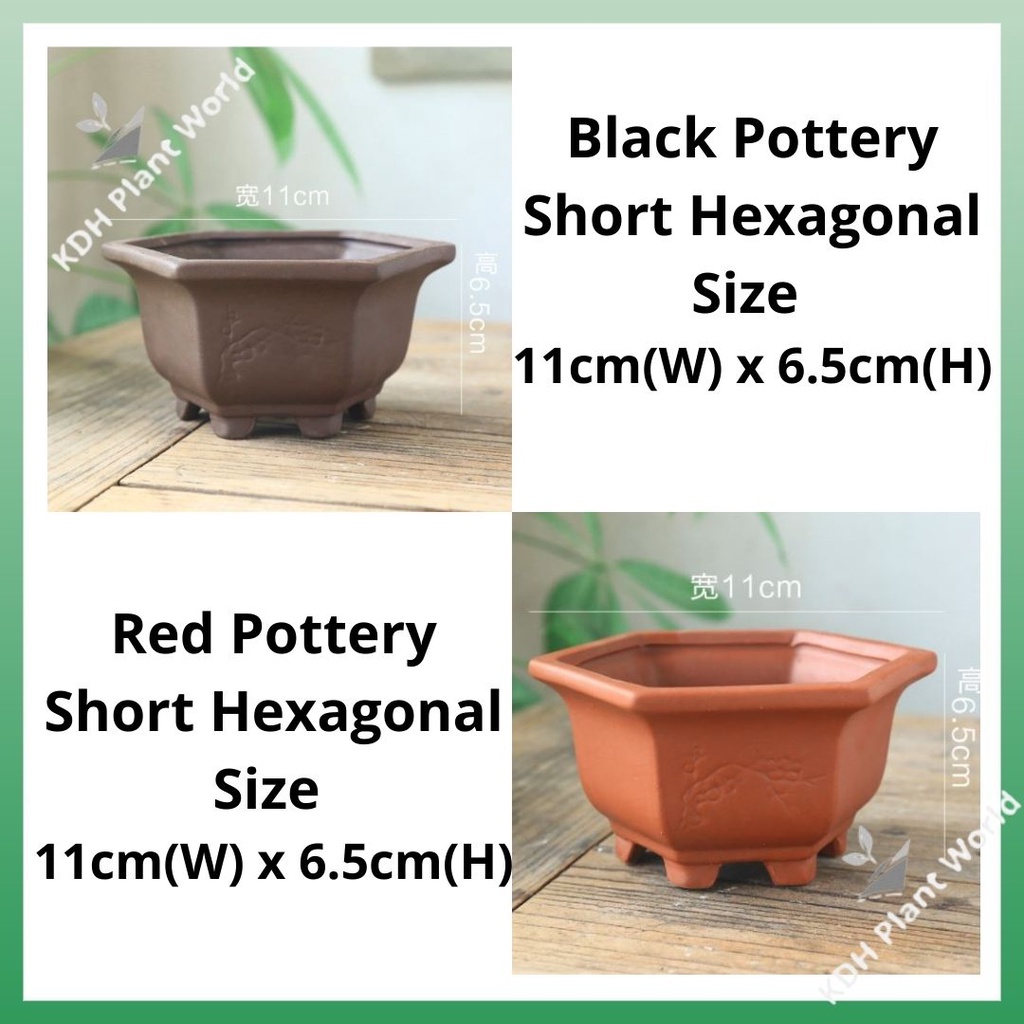 KDH Ready Stock Porcelain Succulent Cactus Bonsai Flower Pot Pasu Bunga ...