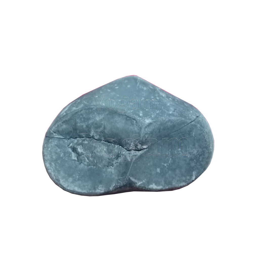 Yogam Saaligraamam / Salagrama or Shaligram (No 40) For Pooja Purpose ...