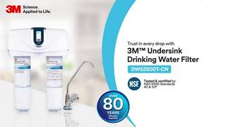 3M Under Sink Water Filter DWS2500T-CN | Dual Cartridge Under Sink Drinking Filter With Faucet ...