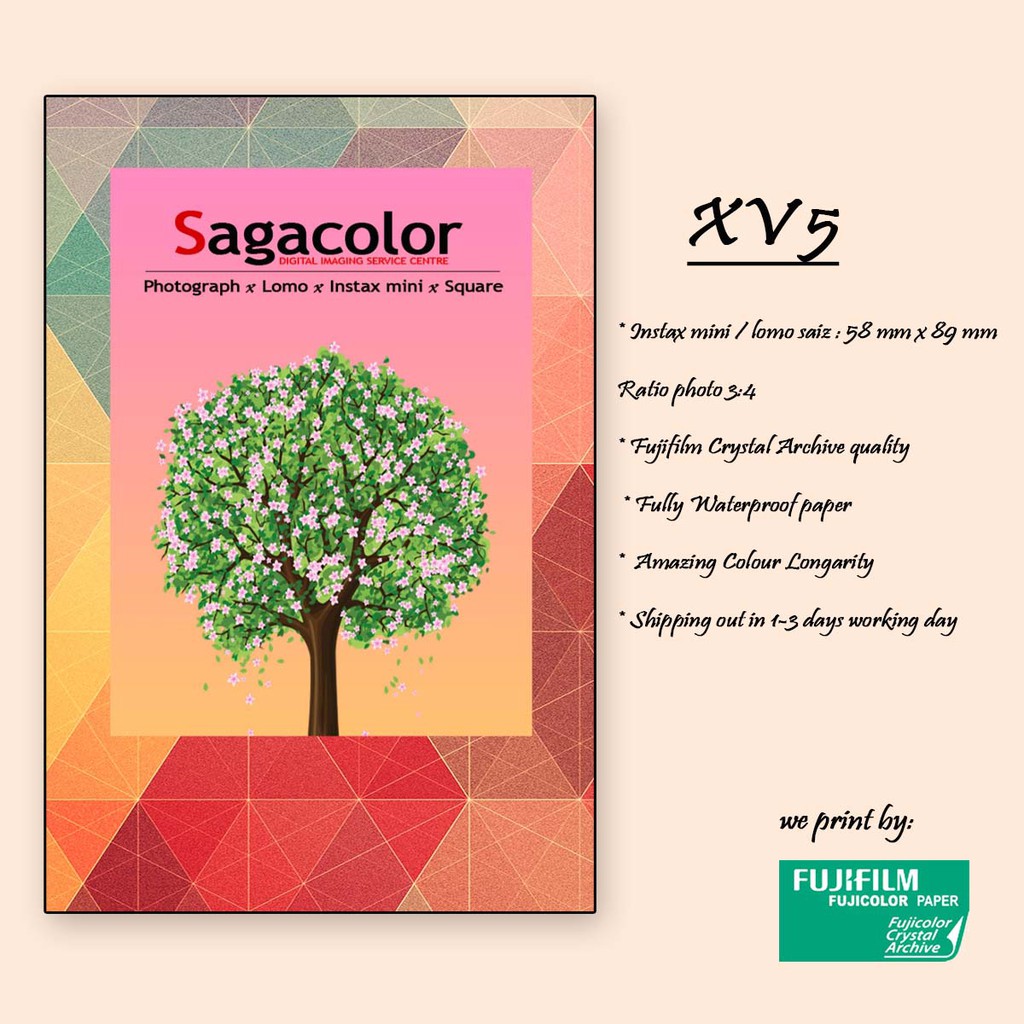 Lomo Print @ Saiz(10-100pcs)(XV 5 Frame) | Shopee Malaysia