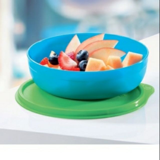 Tupperware twinkle feeding bowl 430ml 1pc | Shopee Malaysia