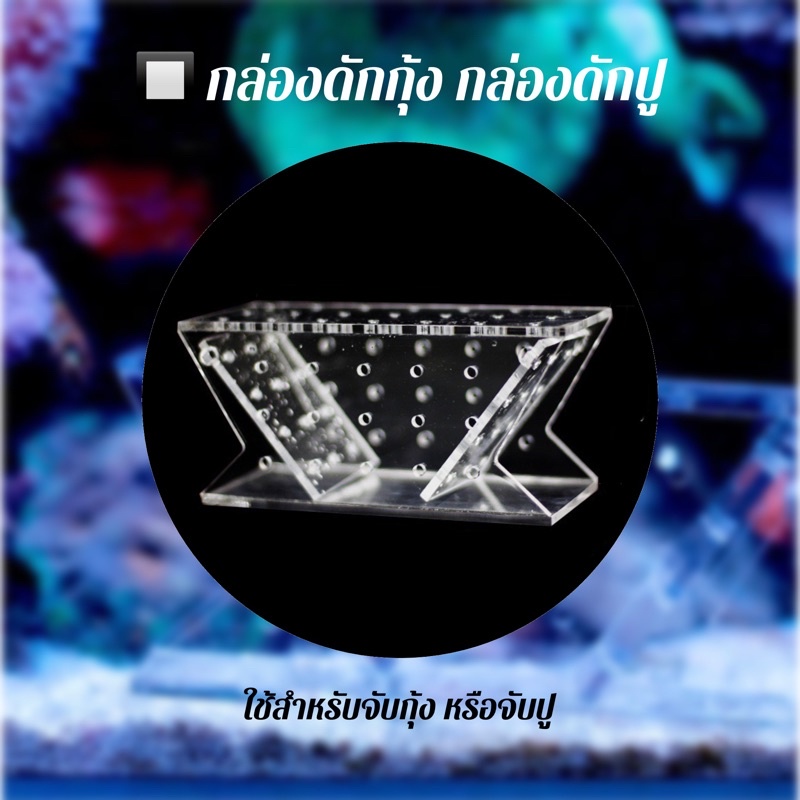 Acrylic Box Animal Trap Used For Holding Shrimp Shellfish Crab Fish ...