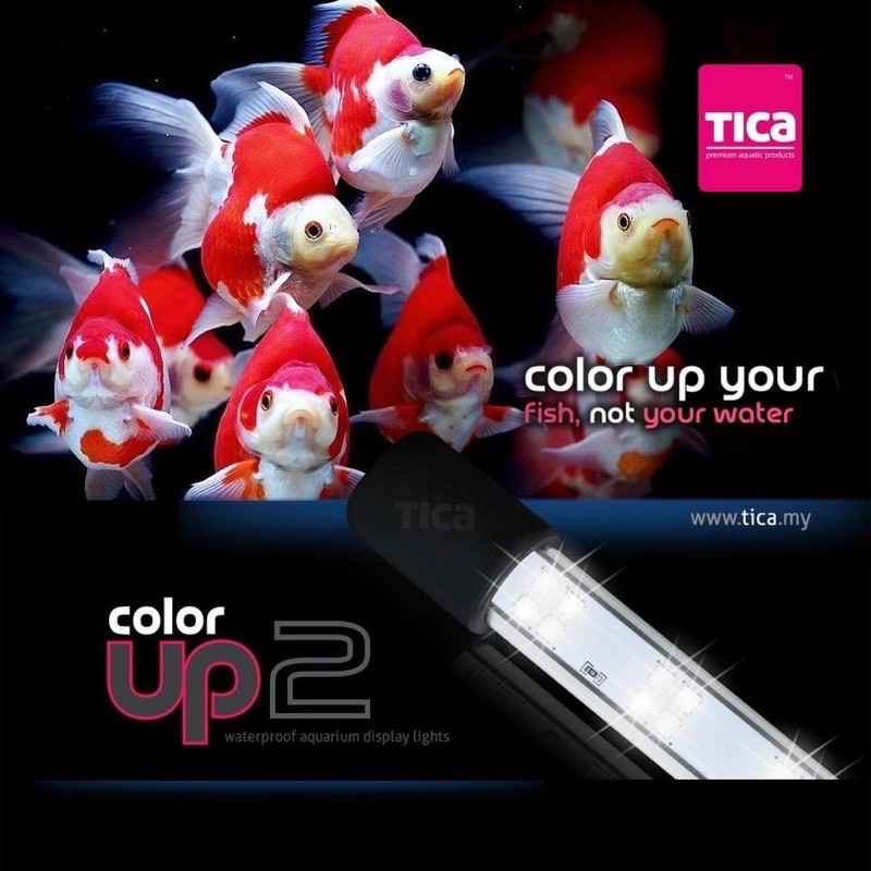HOT 🔥🔥🔥 TICA COLOR UP 2 | Shopee Malaysia