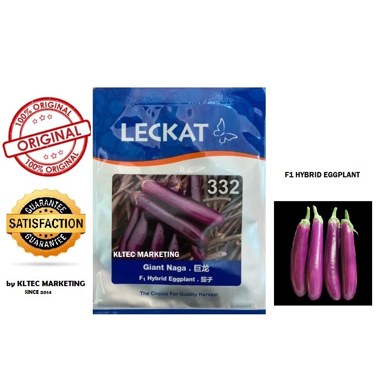 LECKAT F1 HYBRID SUPER NAGA 332 EGGPLANT / BERNIH TERONG PANJANG (10G ...
