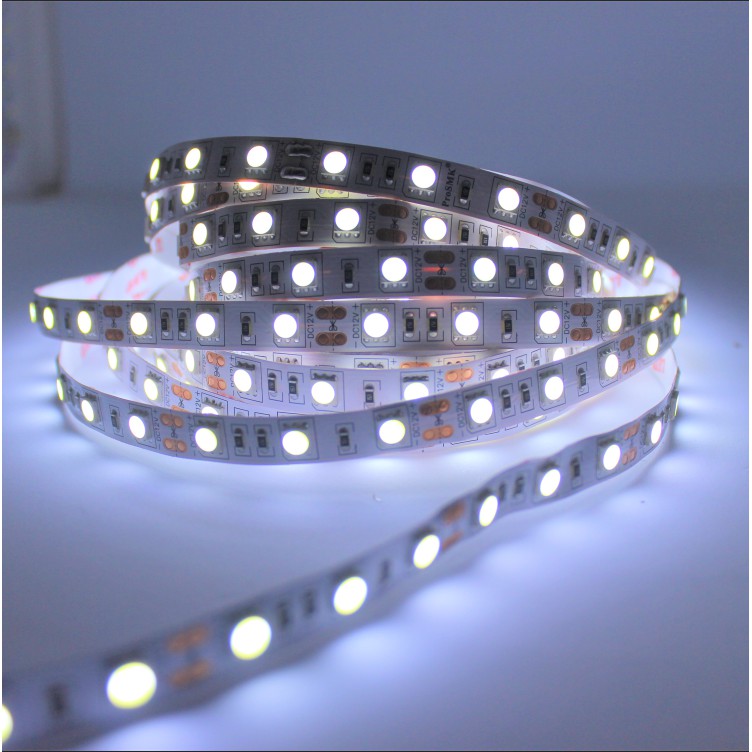 🔥READY STOCK🔥12V 5050 2835 LED Strip Light 5 meters (120/60 LEDs) 12V ...