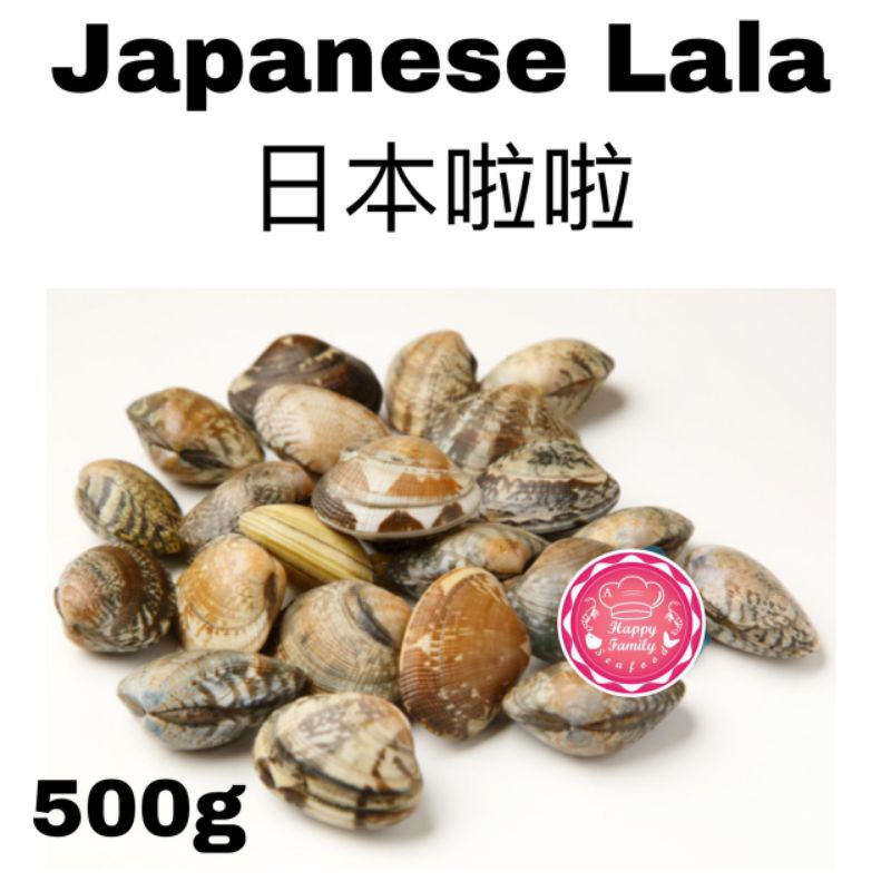 Japanese Frozen Lala 31/40日本真空啦啦 500 g（Selangor & KL Area）零售批发 | Shopee ...