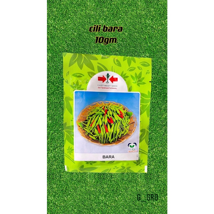 Paket Cili bara 10gm @ 3200biji BARA (Ori) Biji Benih Cili Api Padi F1 ...