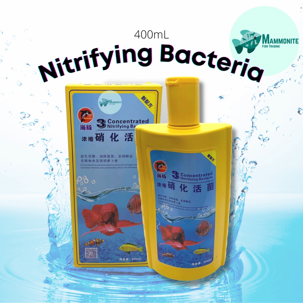 Aquarium Concentrated Nitrifying Bacteria Color Enhance 400 mL | Shopee ...